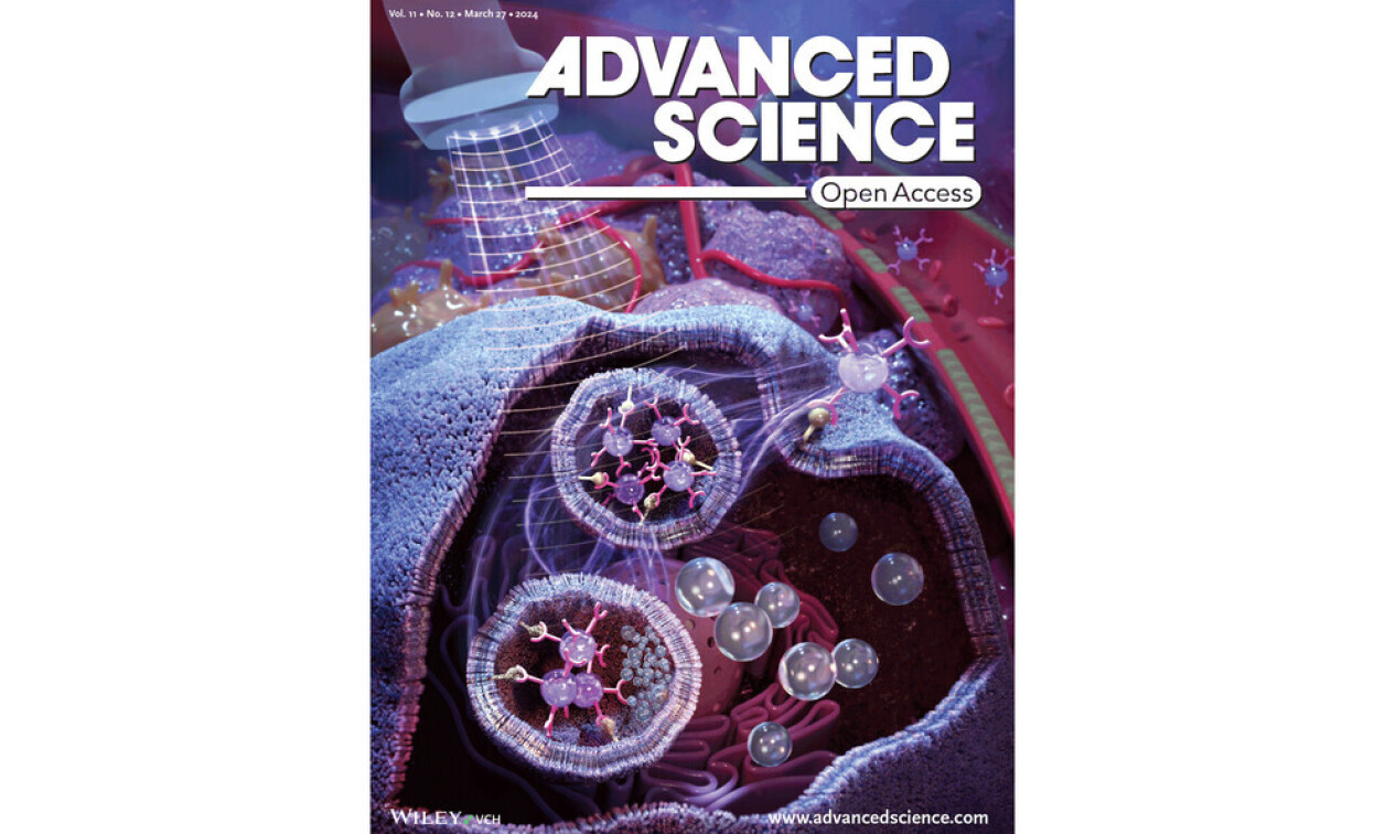 Rugged components may benefit from diamond transistors, researchers say ...