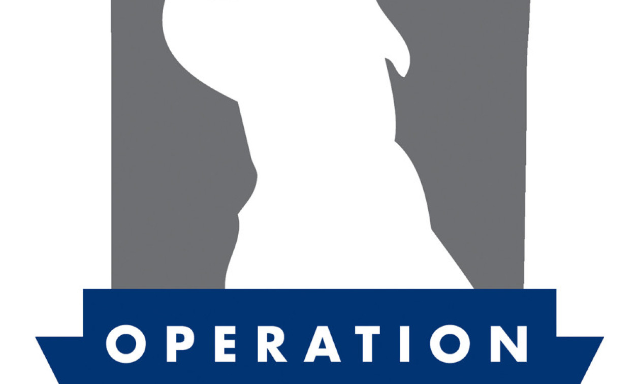 Operation Delta Dog - Military Embedded Systems